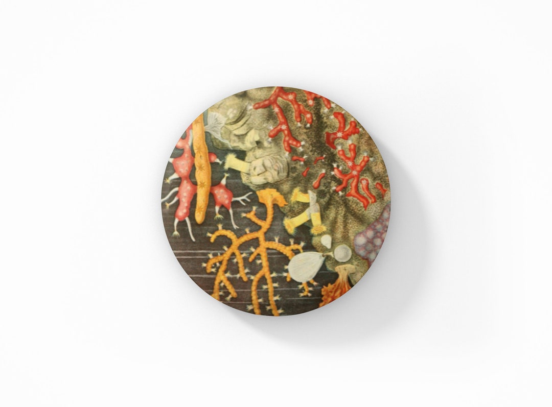 Coral Reef Pin, Coral Pin, Reef Pin, Science Pin Button, Ocean Pin ...