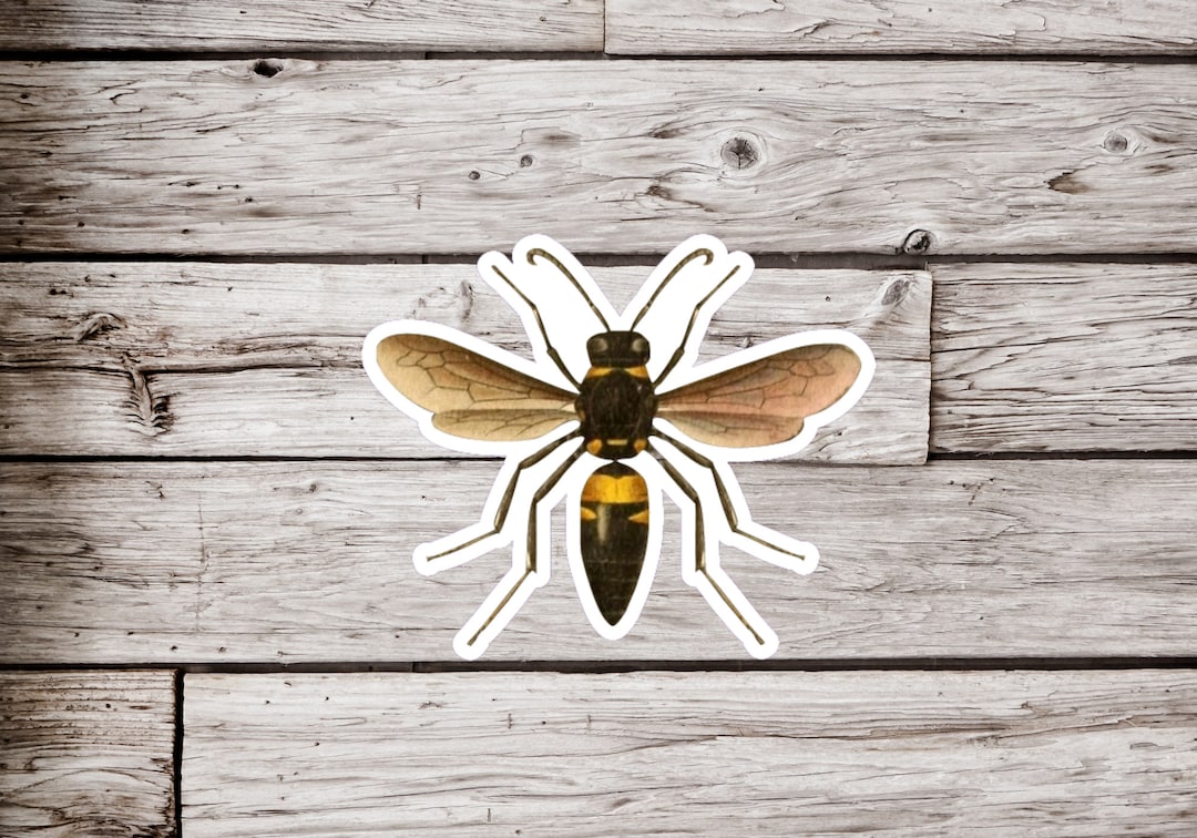 Wasp Sticker, Hornet Sticker, Insect Sticker, Bug Sticker, Waterproof ...