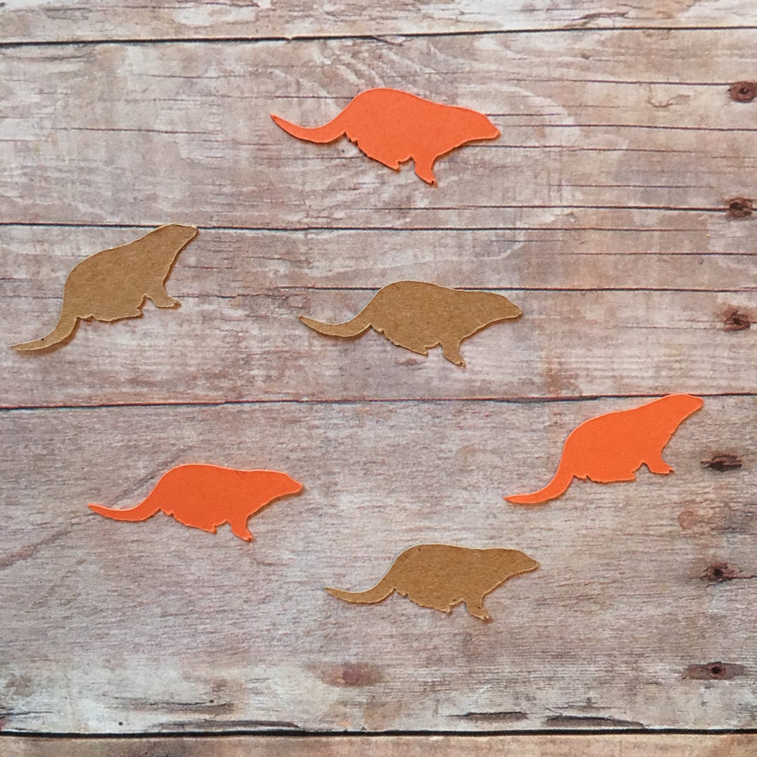 Mongoose Confetti | Mongoose Cut Outs | Mongoose Decorations | Safari ...