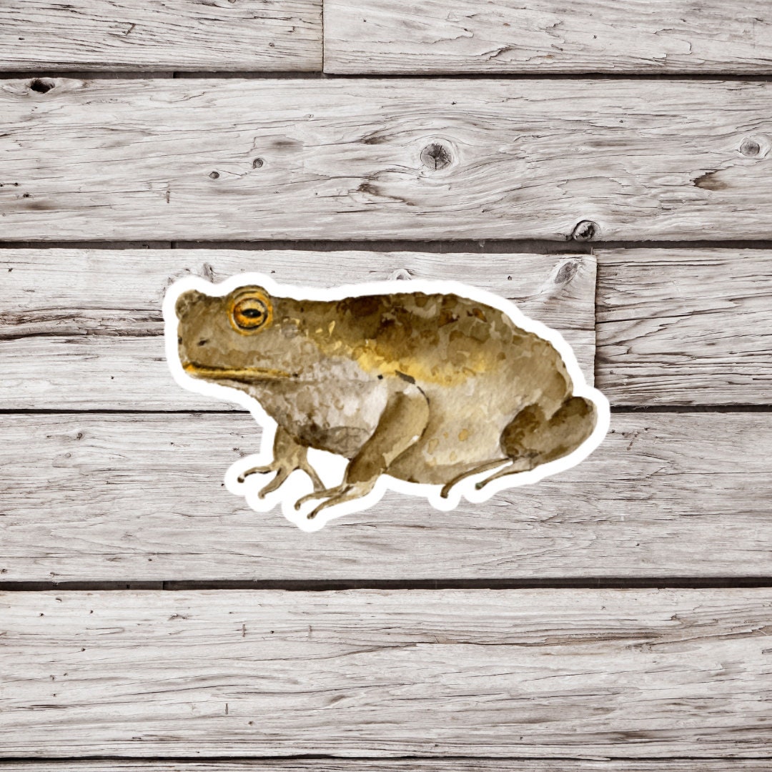 Toad Sticker or Magnet Amphibian Sticker Waterproof Sticker - Etsy