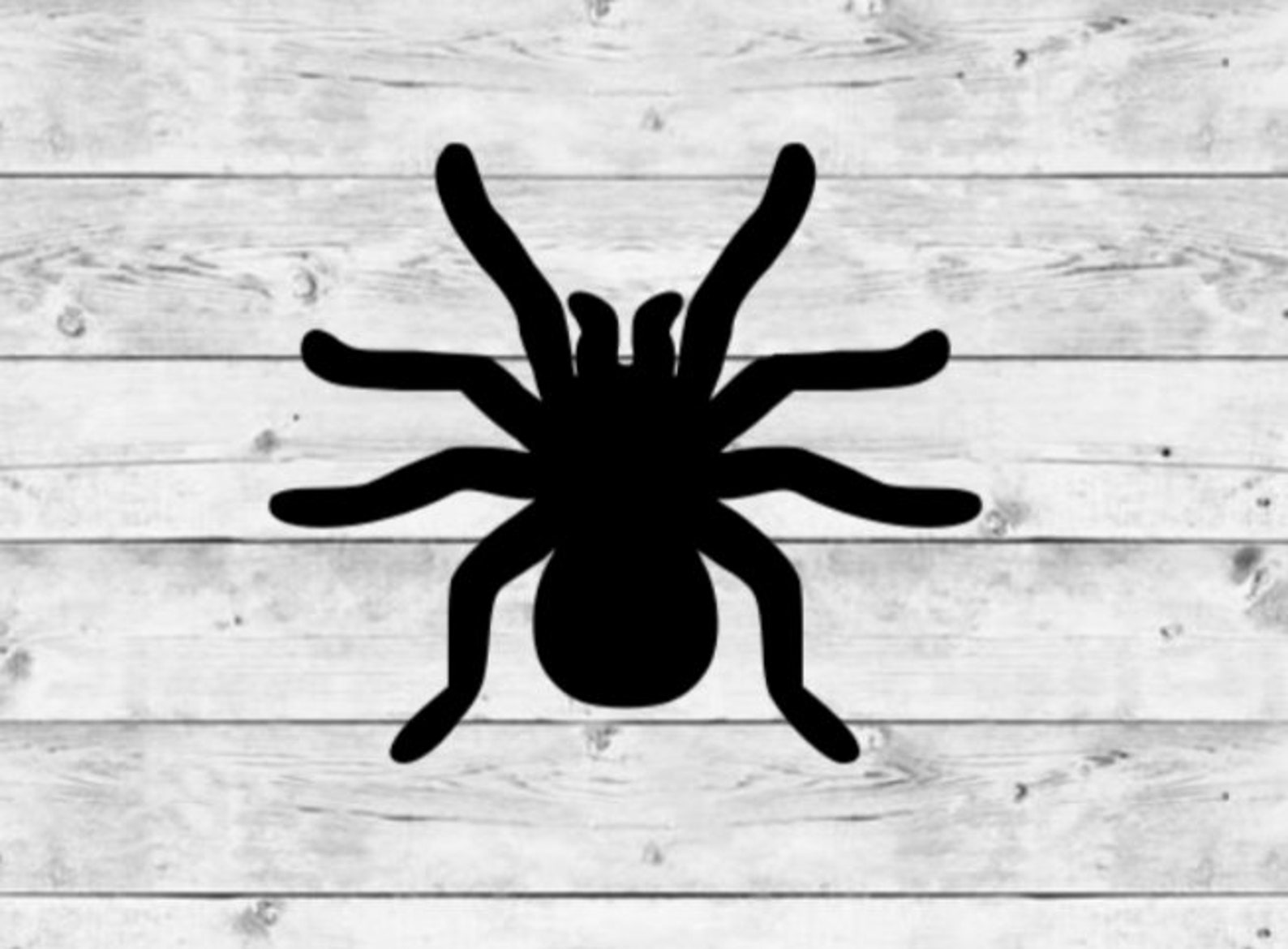Tarantula Decal Tarantula Vinyl Decal Tarantula Sticker | Etsy