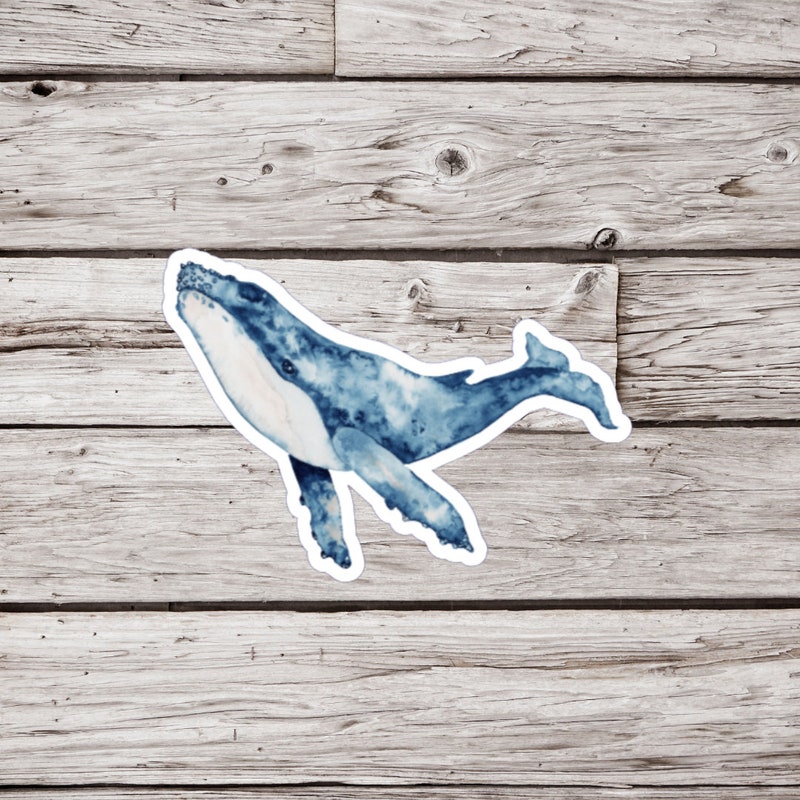Whale Sticker - Etsy