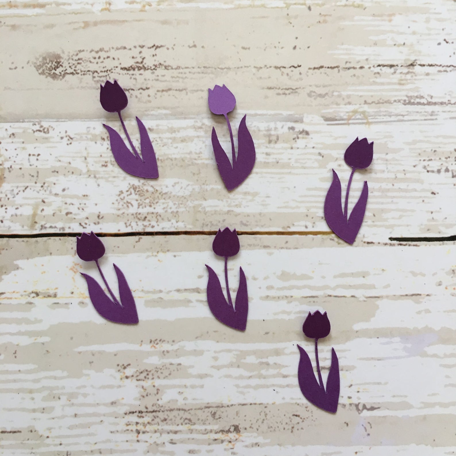Tulip Confetti Tulip Cut Outs Tulip Die Cuts Spring - Etsy
