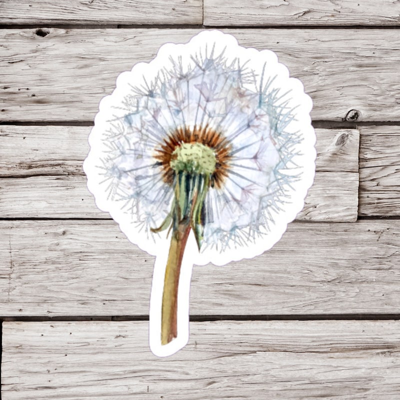 Dandelion Stickers - Etsy