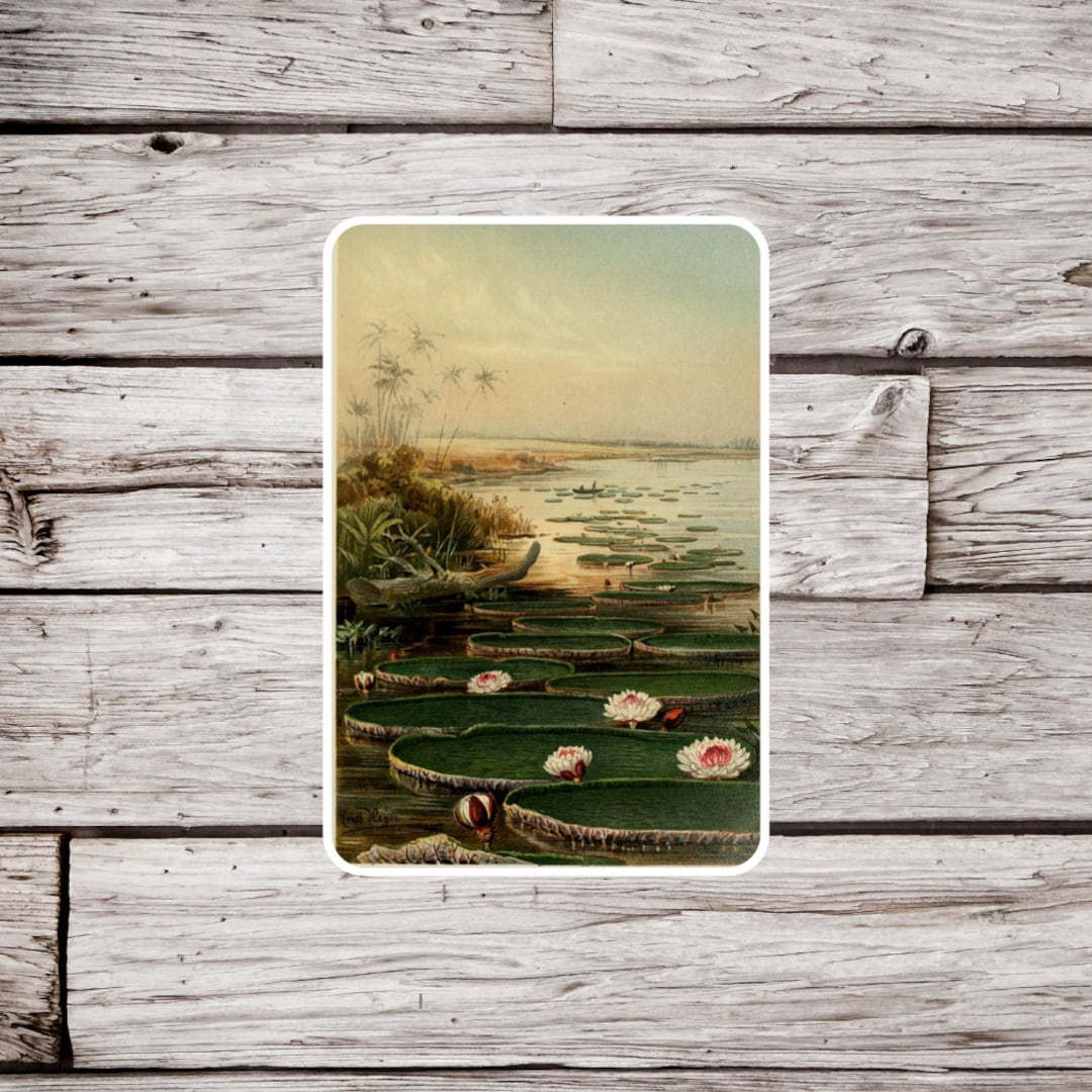 Giant Lily Pad Sticker, Lily Pad Sticker, Water Lily Sticker, Nature ...