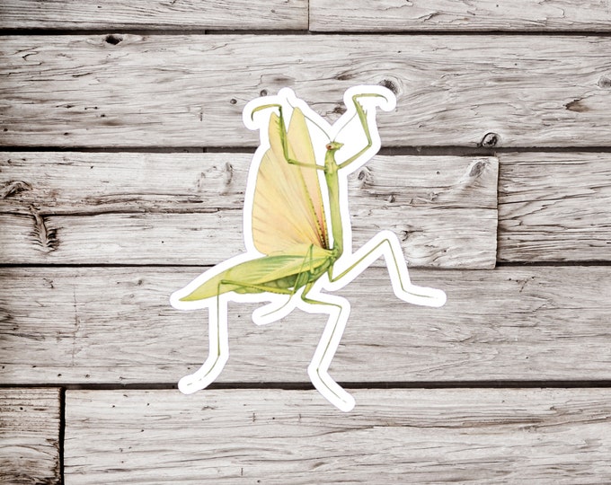 Praying Mantis Girl Dinner Sticker Bug Insect Vinyl Decal Entomology ...