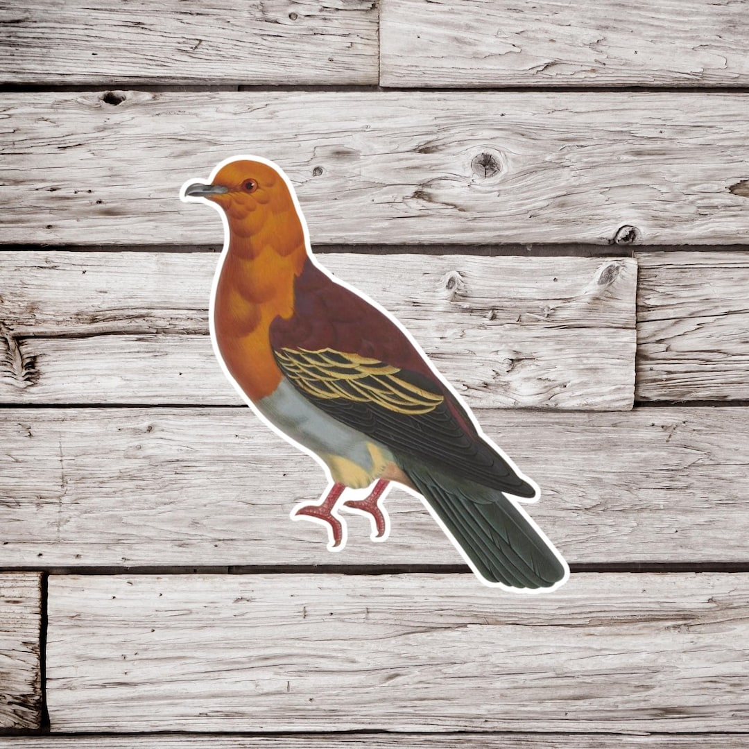 Cinnamon Headed Green Pigeon Sticker, Pigeon Sticker, Waterproof Bird ...