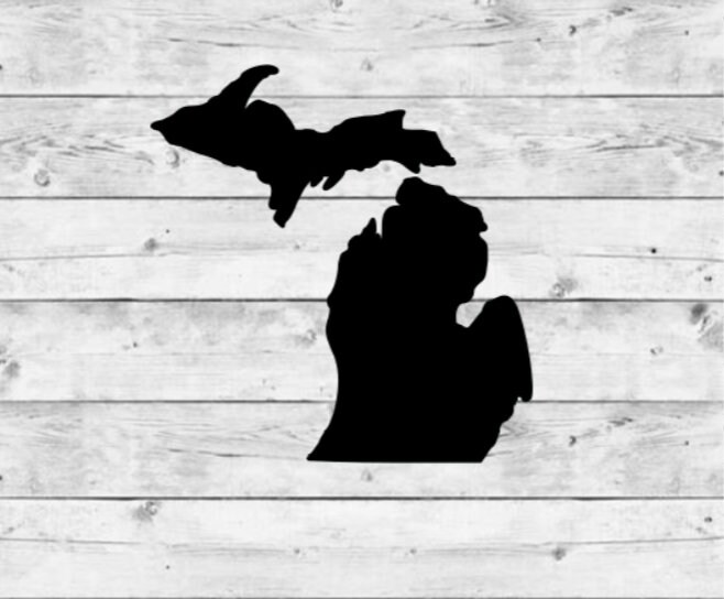Michigan State Decal Vinyl Decal Michigan Sticker | Etsy