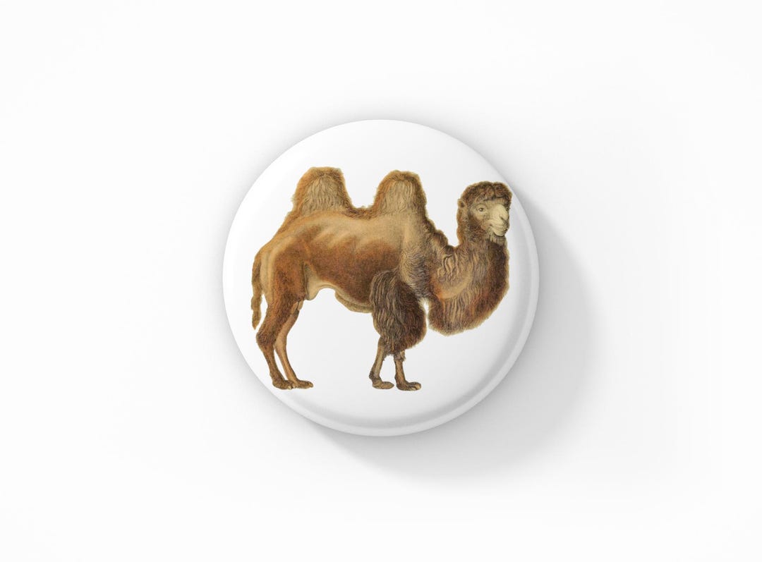Camel Pin Button, Camel Pin, Animal Pin, Wildlife Pin, Camel Keychain ...