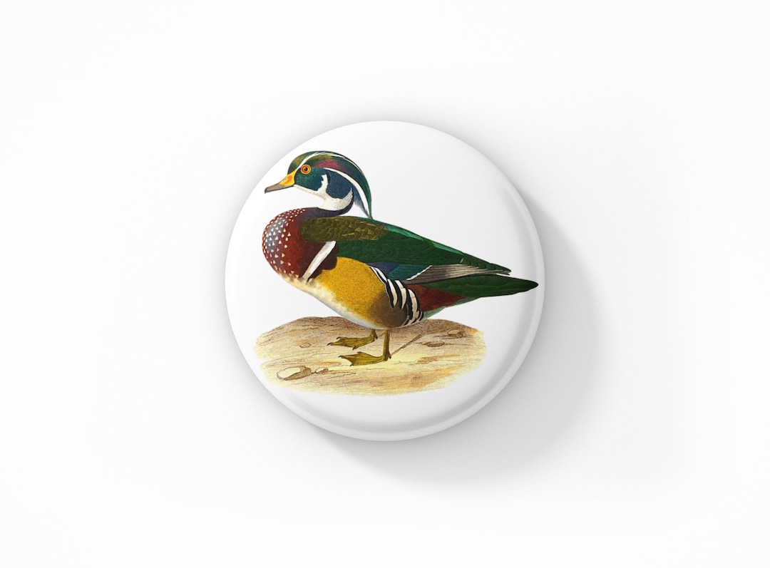 Wood Duck Pin, Wood Duck Pin Back Button, Duck Pin, Vintage Wood Duck ...
