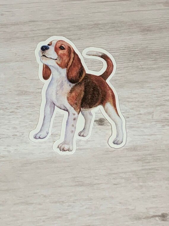 Beagle Sticker or Magnet Beagle Sticker Beagle Magnet - Etsy