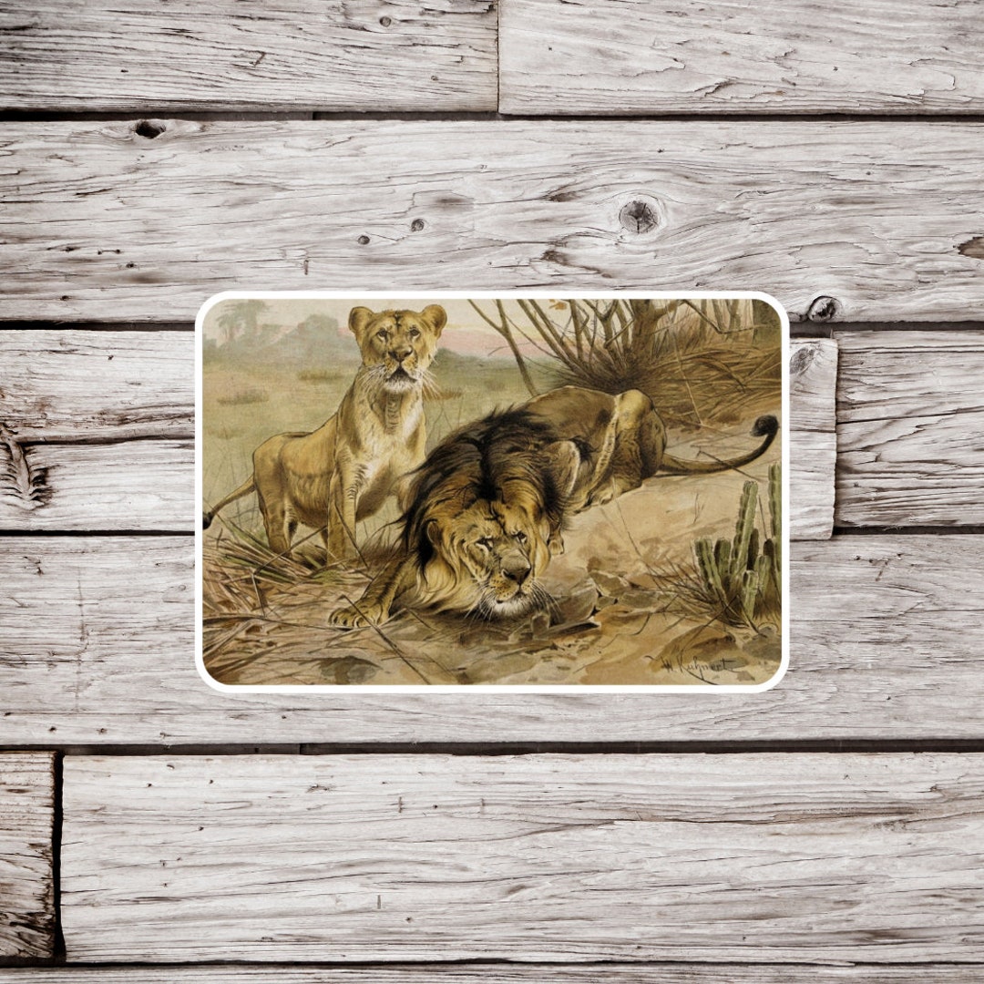 Lion Sticker, Wildlife Sticker, Animal Sticker, Waterproof Sticker ...