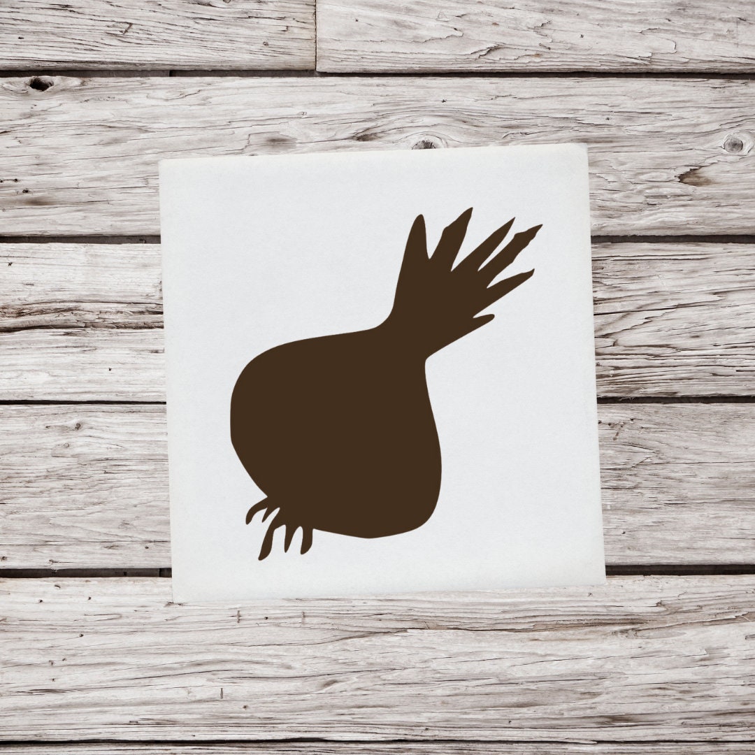 Onion Decal, Onion Vinyl Decal, Onion Sticker, Vegetable Decal, Garden ...