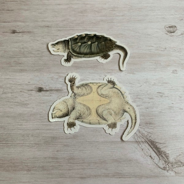 Snapping Turtle - Etsy