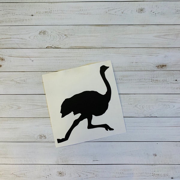 Ostrich Vinyl - Etsy