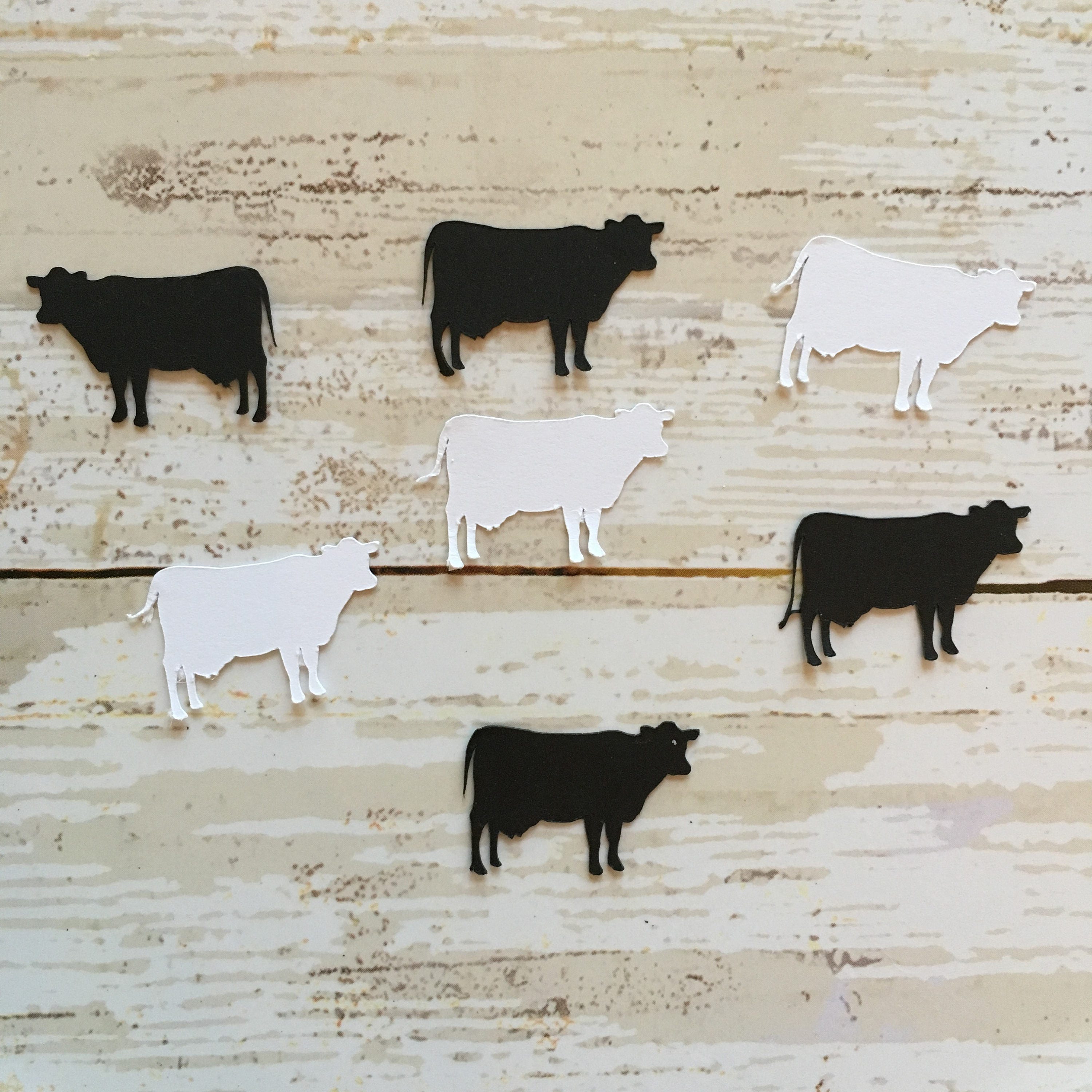 Cow Confetti | Cow Cut Outs | Cow Directions | Fam Theme | Farm ...