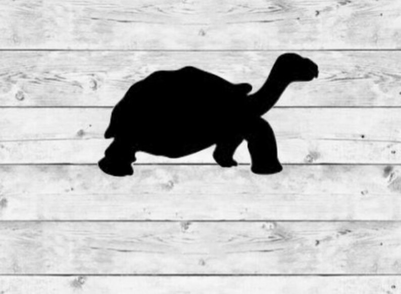 Tortoise Sticker Tortoise Decal Turtle Sticker Turtle - Etsy