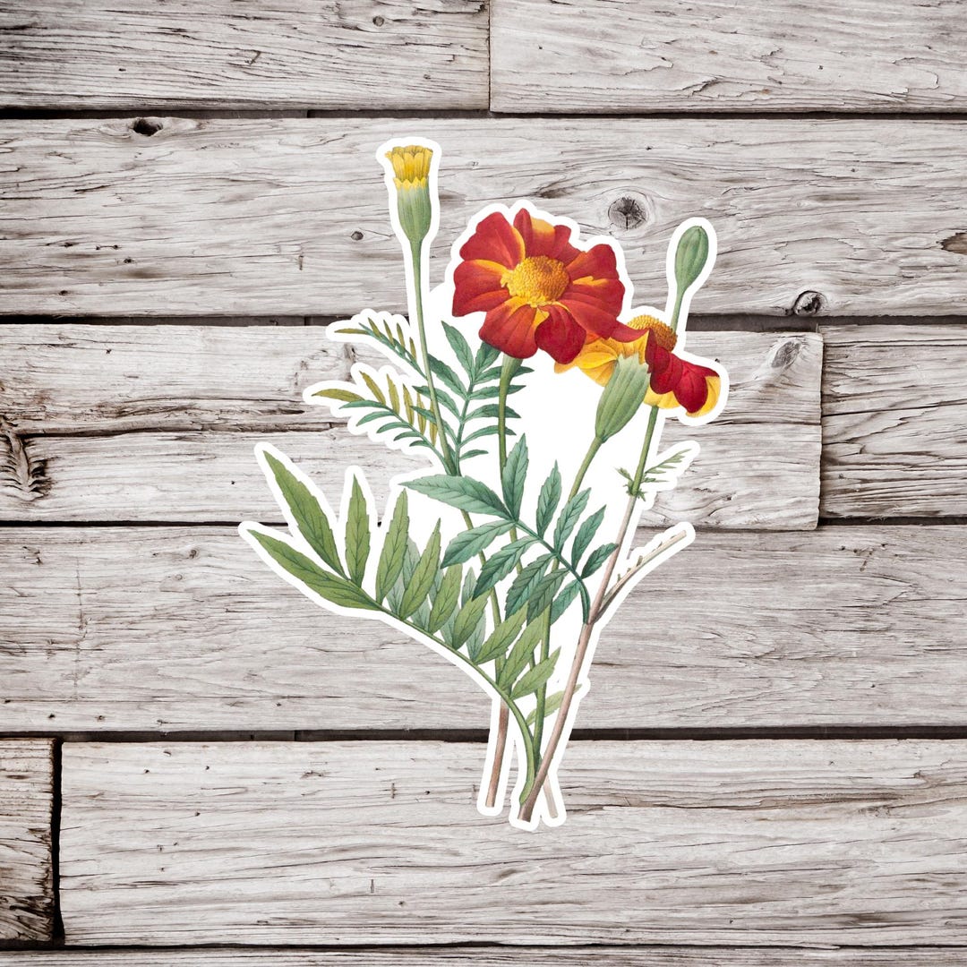 Marigold Sticker, Botanical Sticker, Waterproof Sticker, Flower Sticker ...