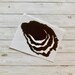 Walrus Decal Walrus Vinyl Decal Walrus Sticker Seal Sticker Seal Decal ...