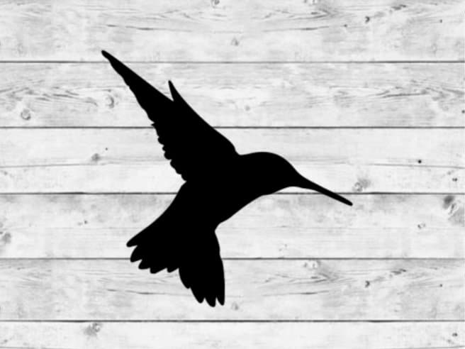 Hummingbird Decal Hummingbird Sticker Hummingbird Vinyl | Etsy