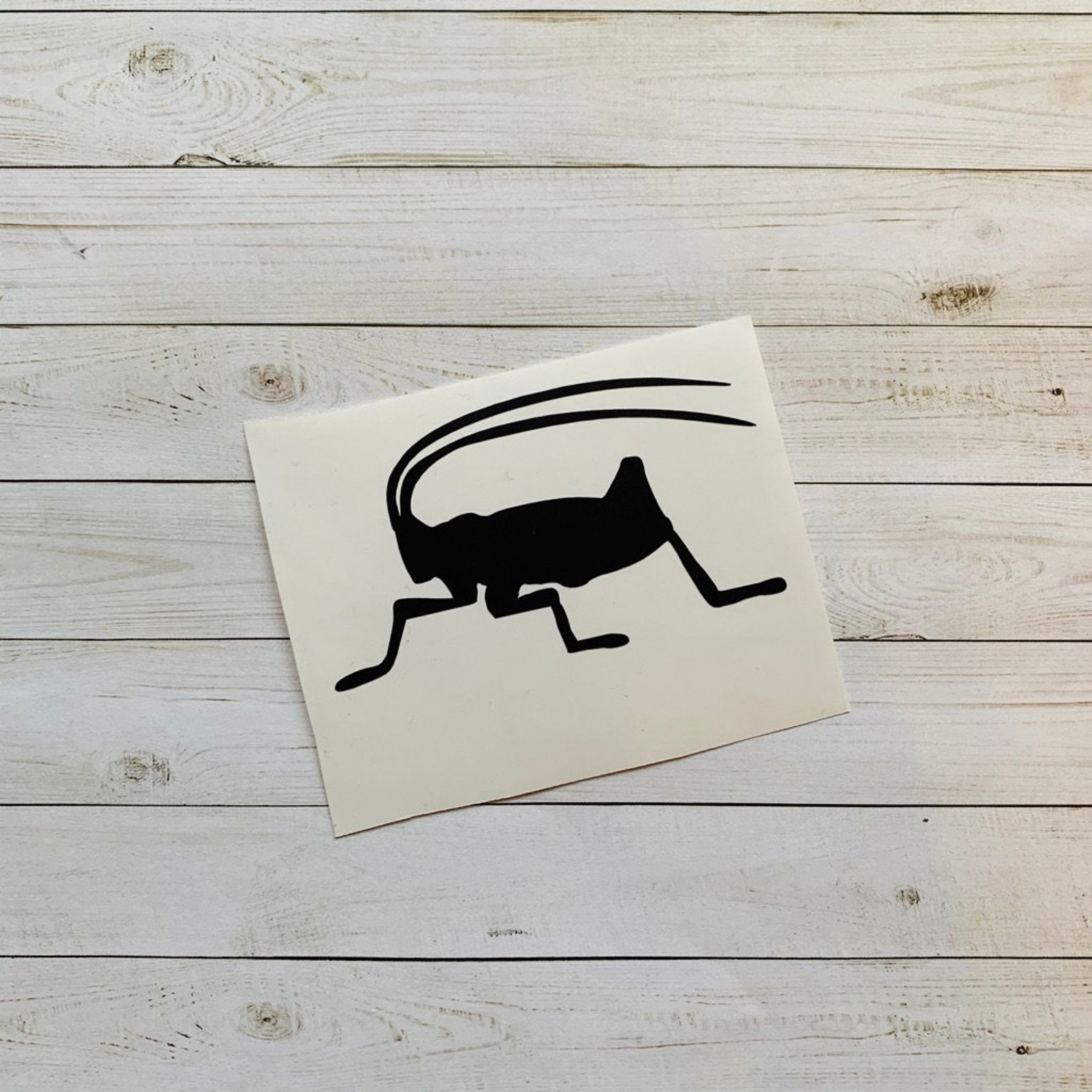 Cricket Decal Cricket Vinyl Decal Cricket Sticker Bug | Etsy