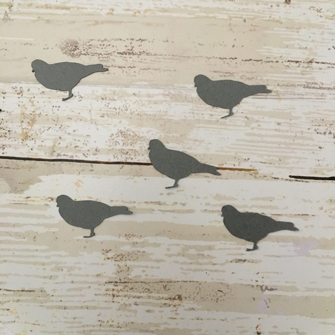 Pigeon Confetti | Pigeon Cut Outs | Pigeon Decoration | Dove Confetti ...