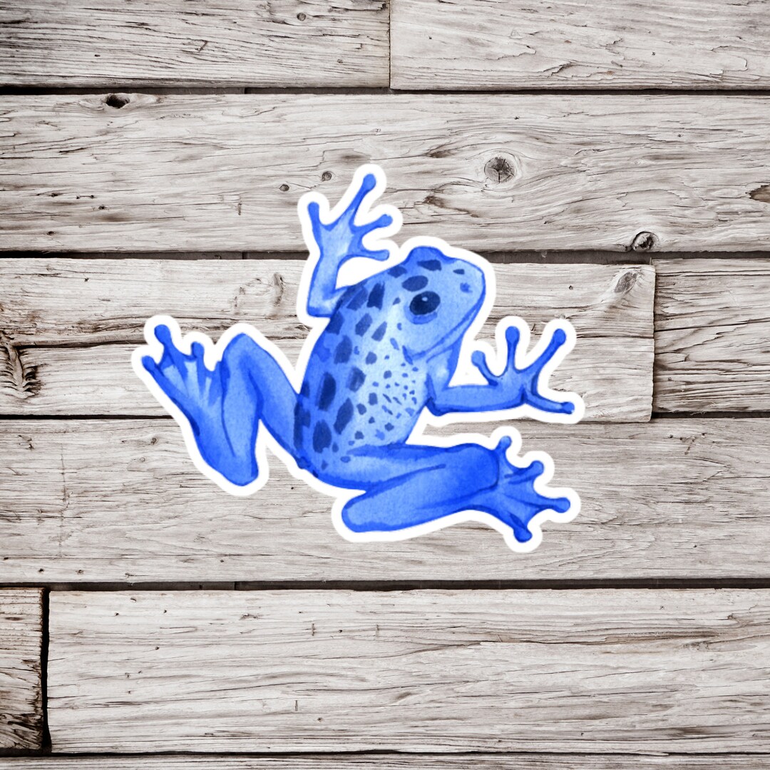 Tree Frog Sticker or Magnet, Tree Frog Sticker, Frog Sticker, Amphibian ...