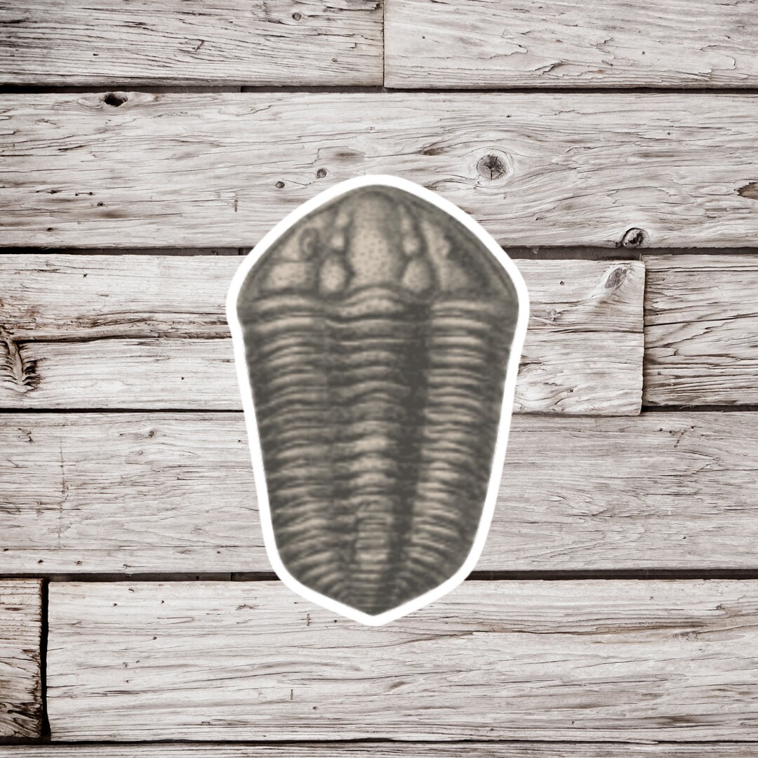 Trilobite Sticker, Trilobite Fossil Sticker, Fossil Sticker, Waterproof ...