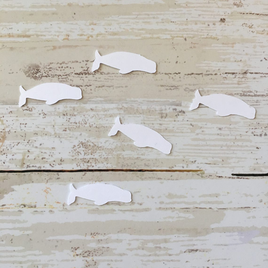 Beluga Whale Confetti | Beluga Cut Outs | Whale Confetti | Whale Cut ...