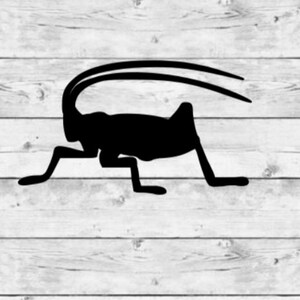 Cricket Decal | Cricket Vinyl Decal | Cricket Sticker | Bug Decal | Bug ...
