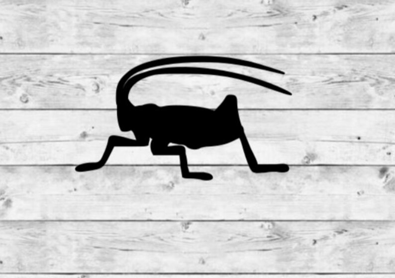 Cricket Decal Cricket Vinyl Decal Cricket Sticker Bug | Etsy