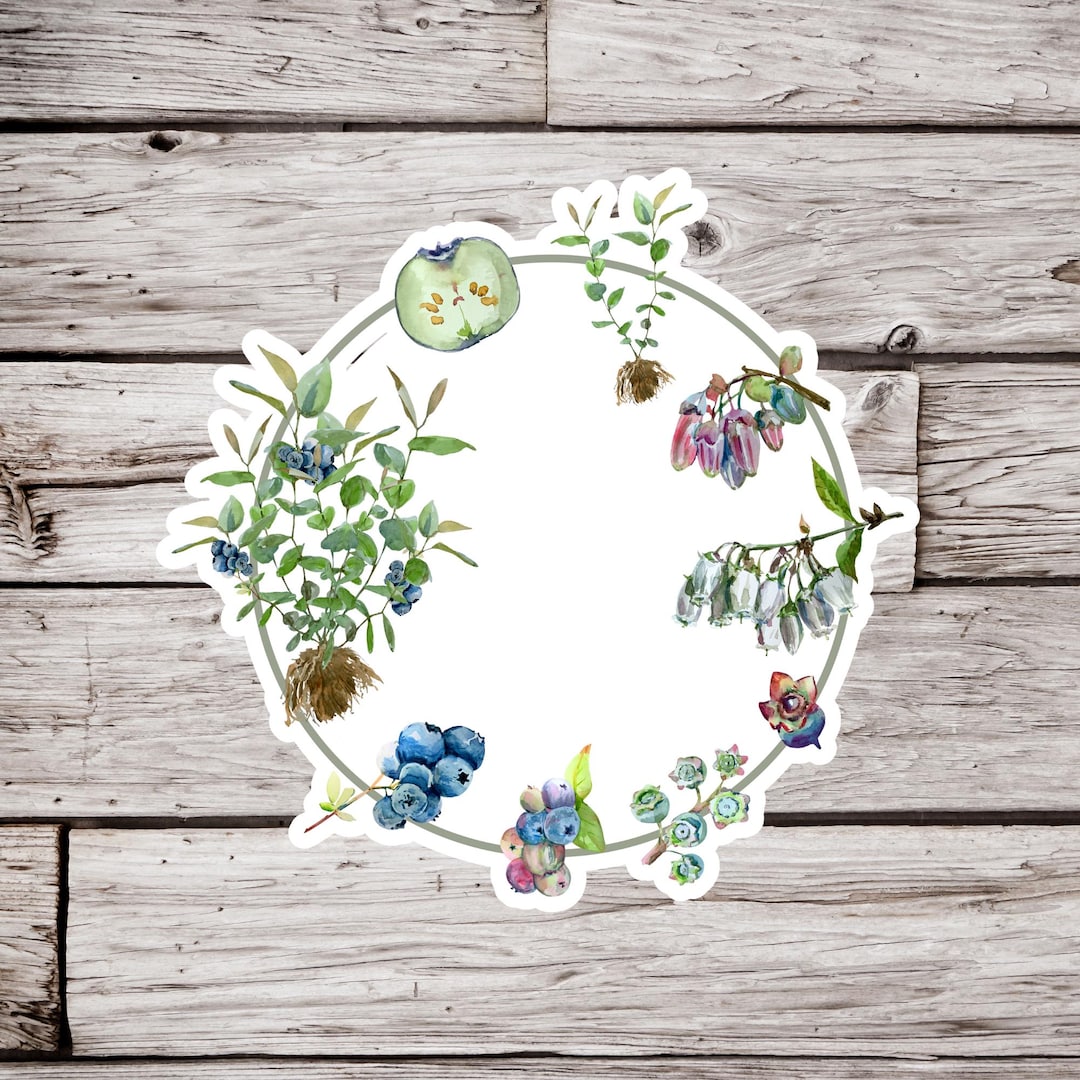 Blueberry Life Cycle Sticker, Blueberry Sticker, Berry Sticker, Fruit ...