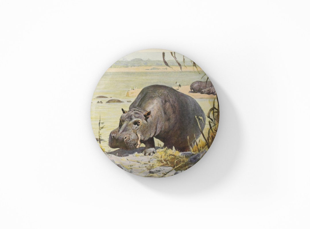 Hippopotamus Pin, Hippo Pin Back Button, Animal Pin, Natural History ...