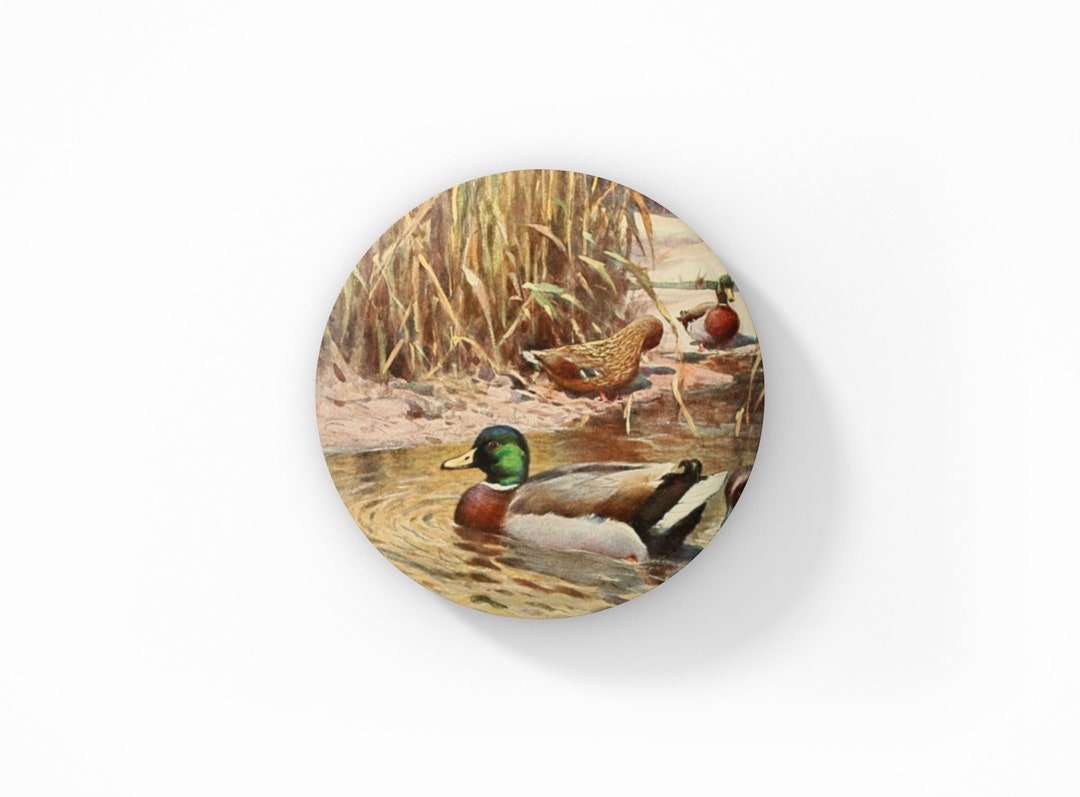 Mallard Duck Pin, Mallard Pin Back Button, Duck Pin, Bird Pin, Vintage ...
