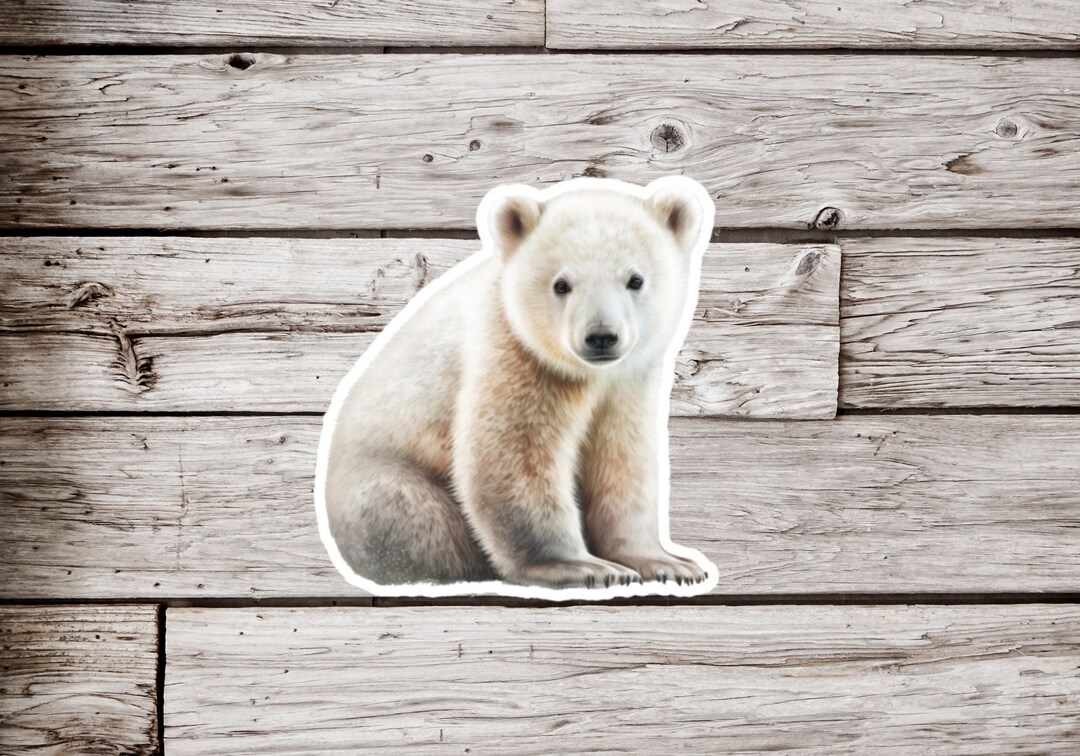 Polar Bear Sticker, Polar Bear Cub Sticker, Cub Sticker, Animal Sticker ...