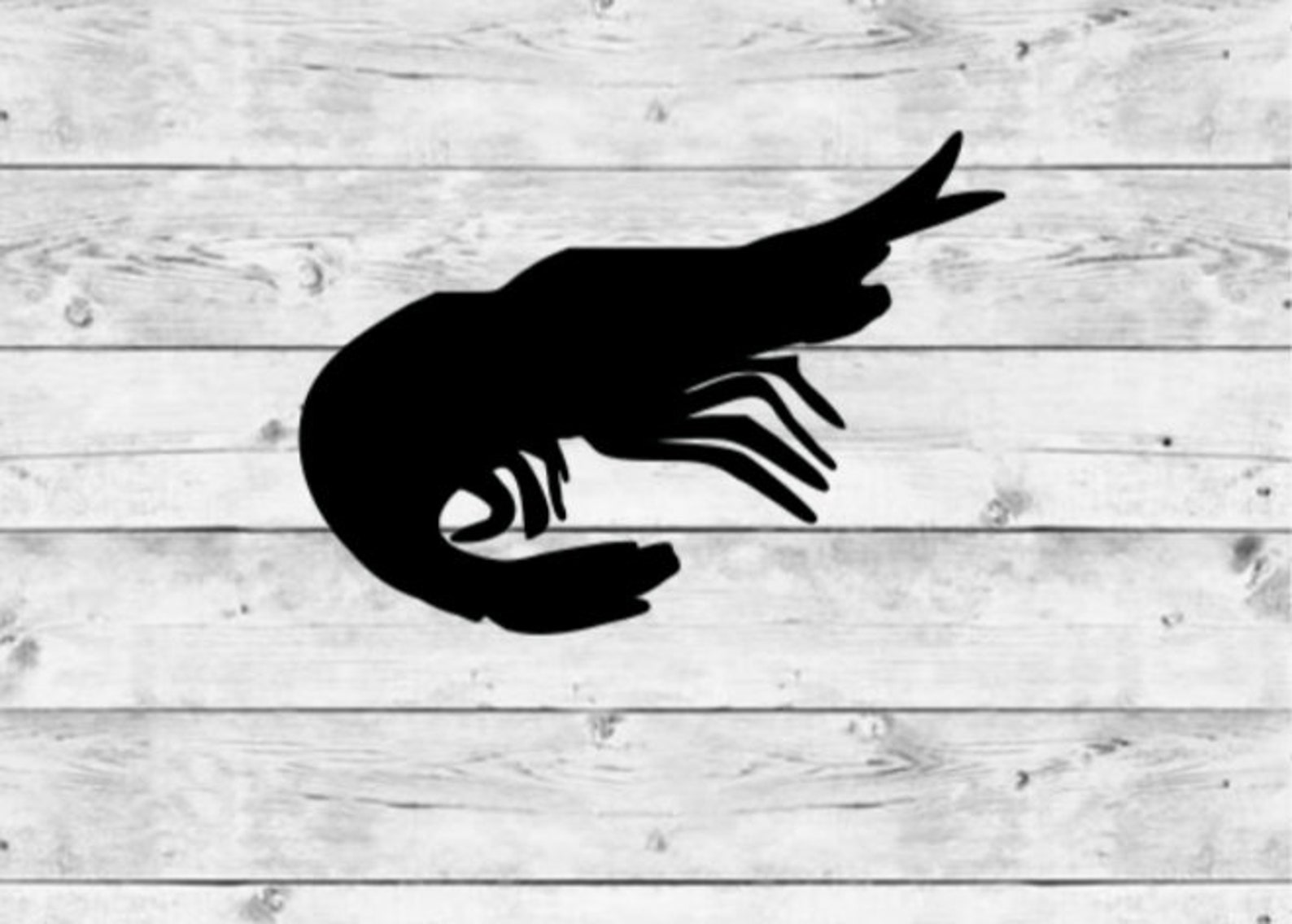 Shrimp Decal Shrimp Vinyl Decal Shrimp Sticker Ocean | Etsy