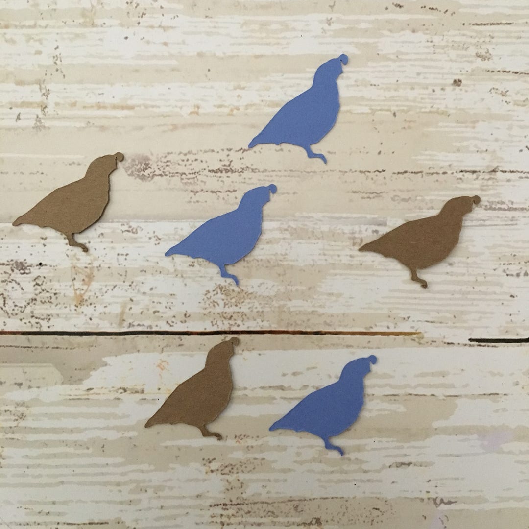 Quail Confetti | Quail Cut Out | Quail Decoration | Bobwhite Confetti ...