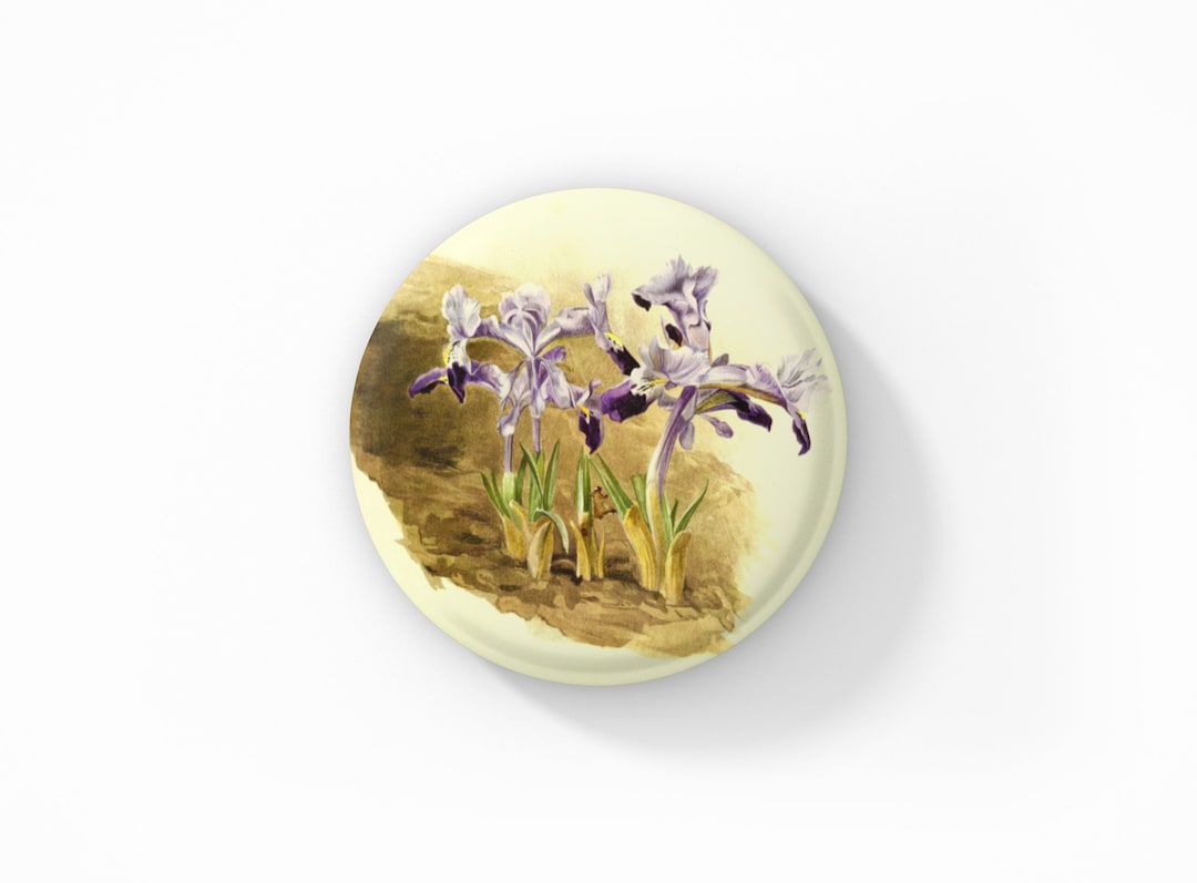 Iris Flower Pin, Iris Pin Back Button, Botanical Pin, Natural History ...