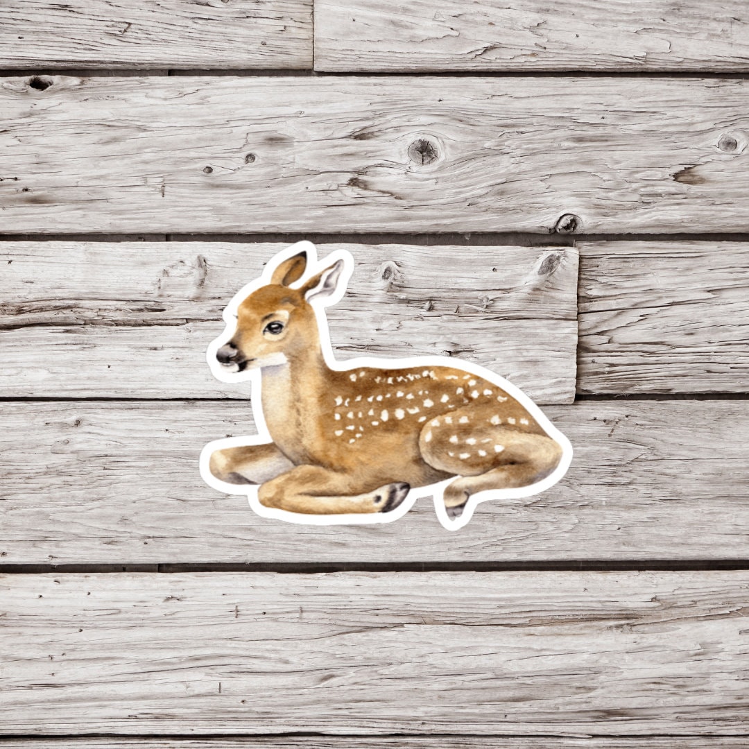 Fawn Sticker, White Tailed Deer Sticker, Animal Sticker, Waterproof ...