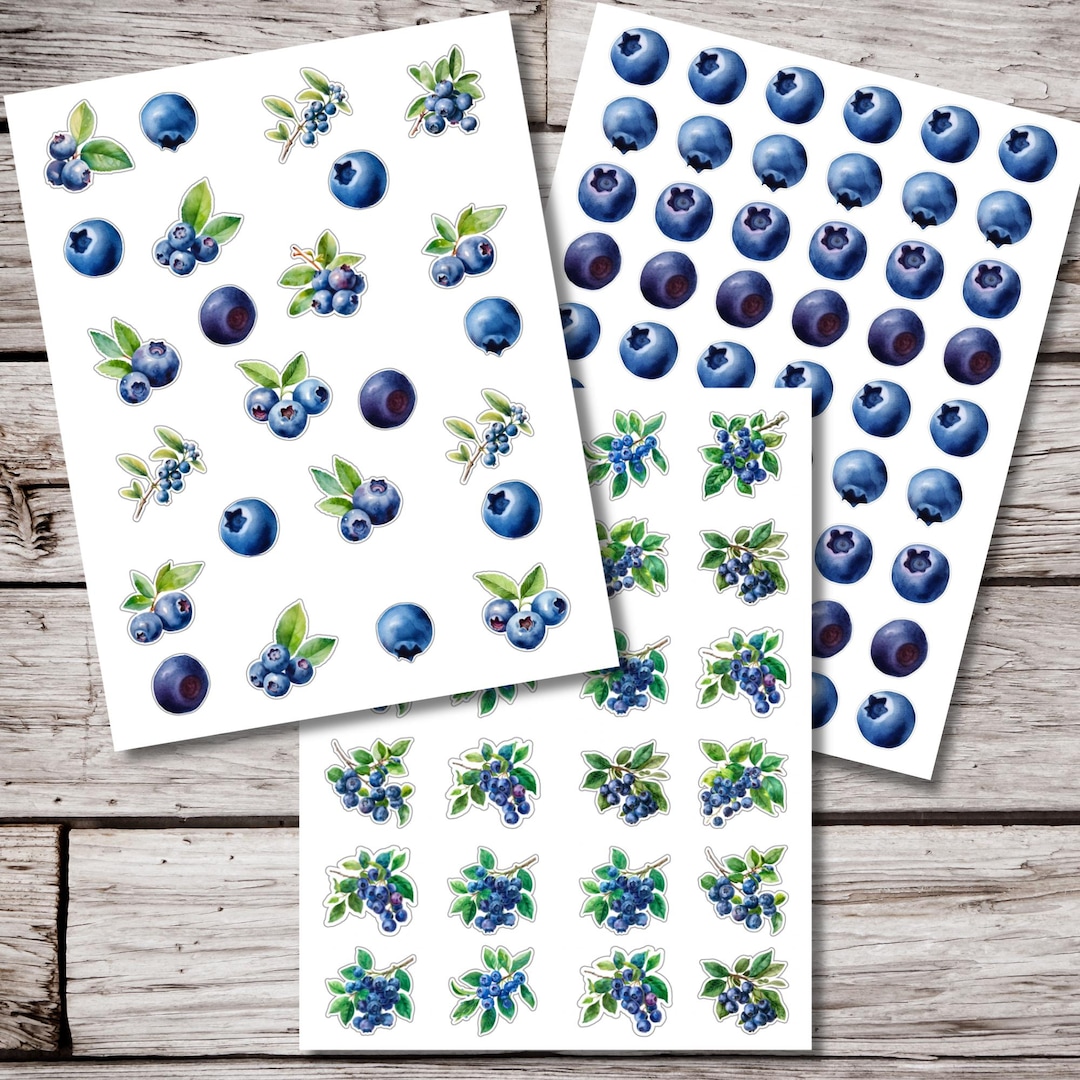 Blueberry Stickers, Fruit Sticker Sheet, 8.5x11" Sticker Sheet, Berry ...