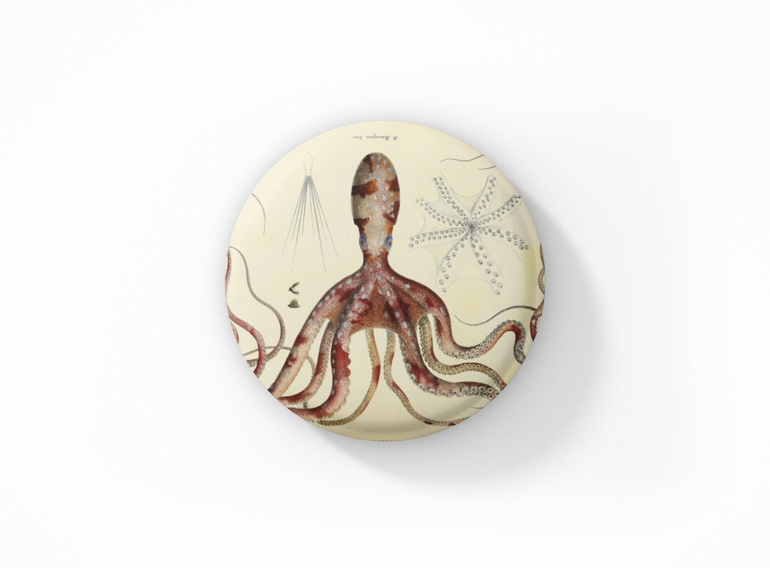 Octopus Pin, Octopus Pin Back Button, Ocean Pin, Natural History Pin ...