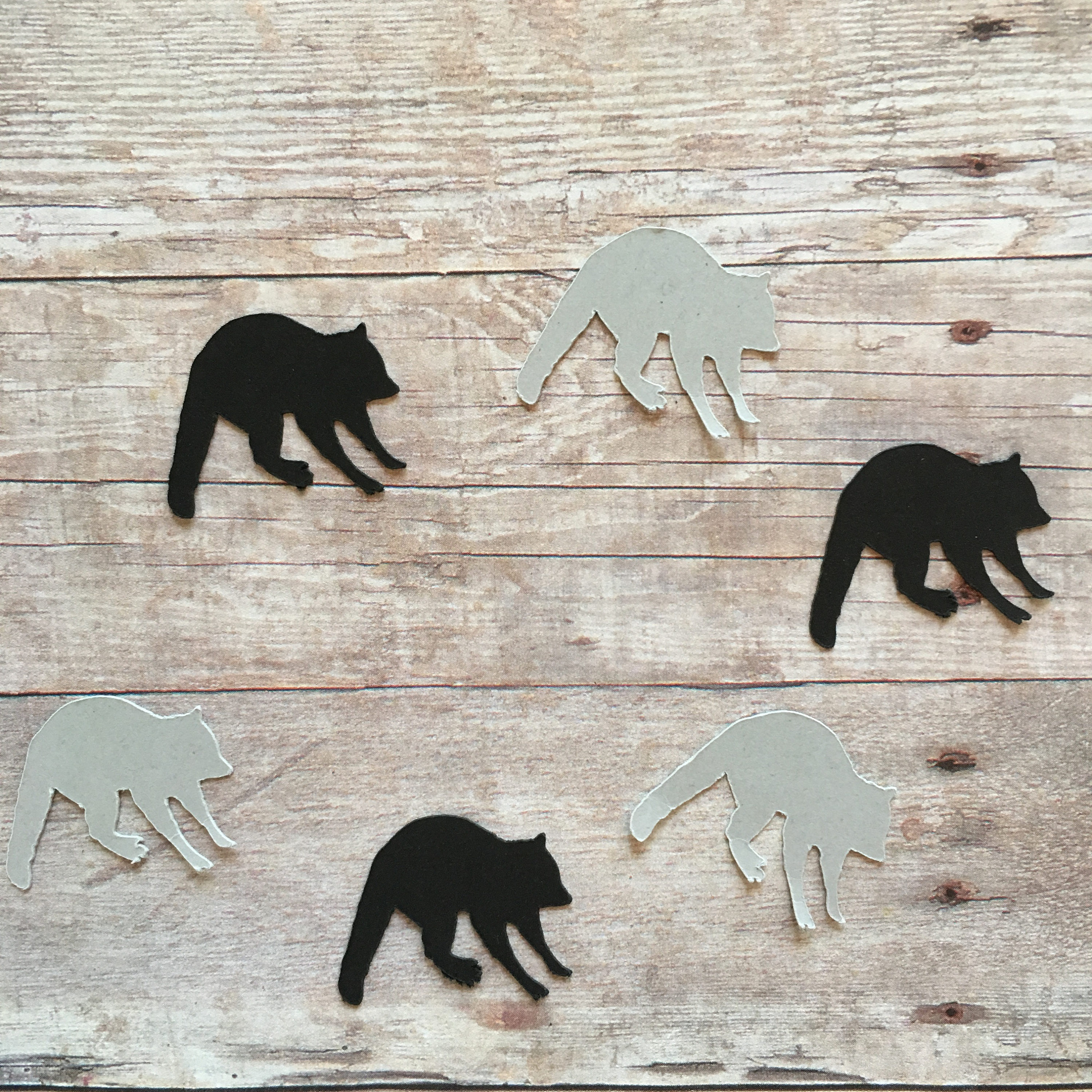 Raccoon Confetti Raccoon Cut Outs Raccoon Decorations - Etsy