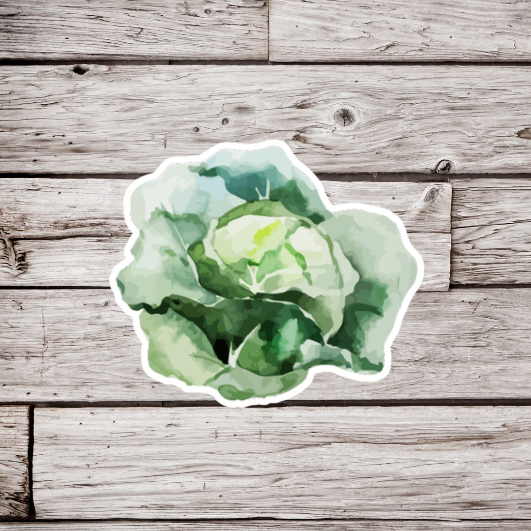 Lettuce Sticker, Vegetable Sticker, Garden Sticker, Waterproof Sticker ...