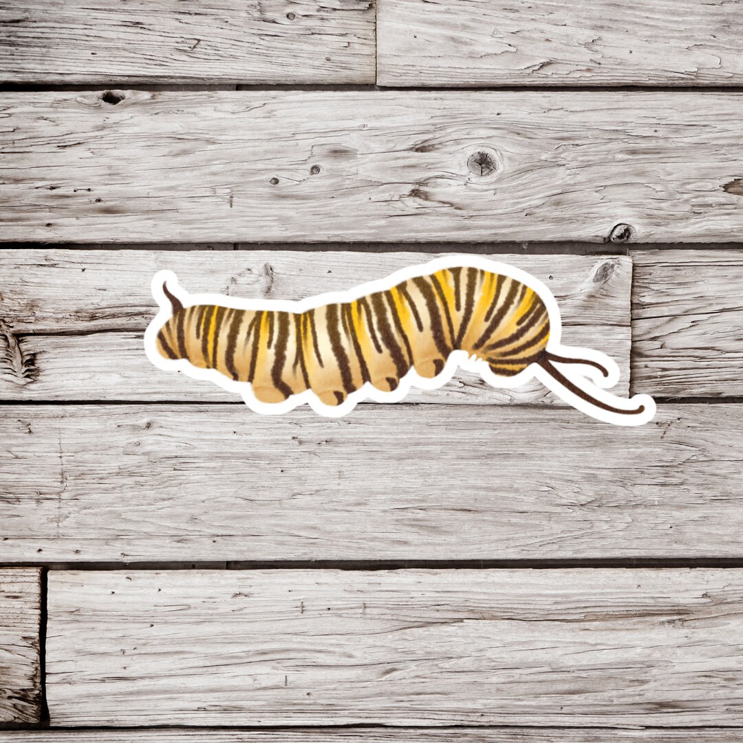 Monarch Caterpillar Sticker or Magnet, Caterpillar Sticker, Monarch ...
