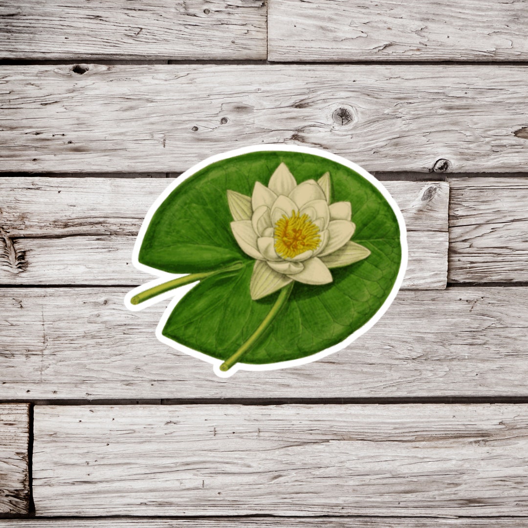 Lily Pad Sticker, Water Lily Sticker, Waterproof Sticker, Vintage ...