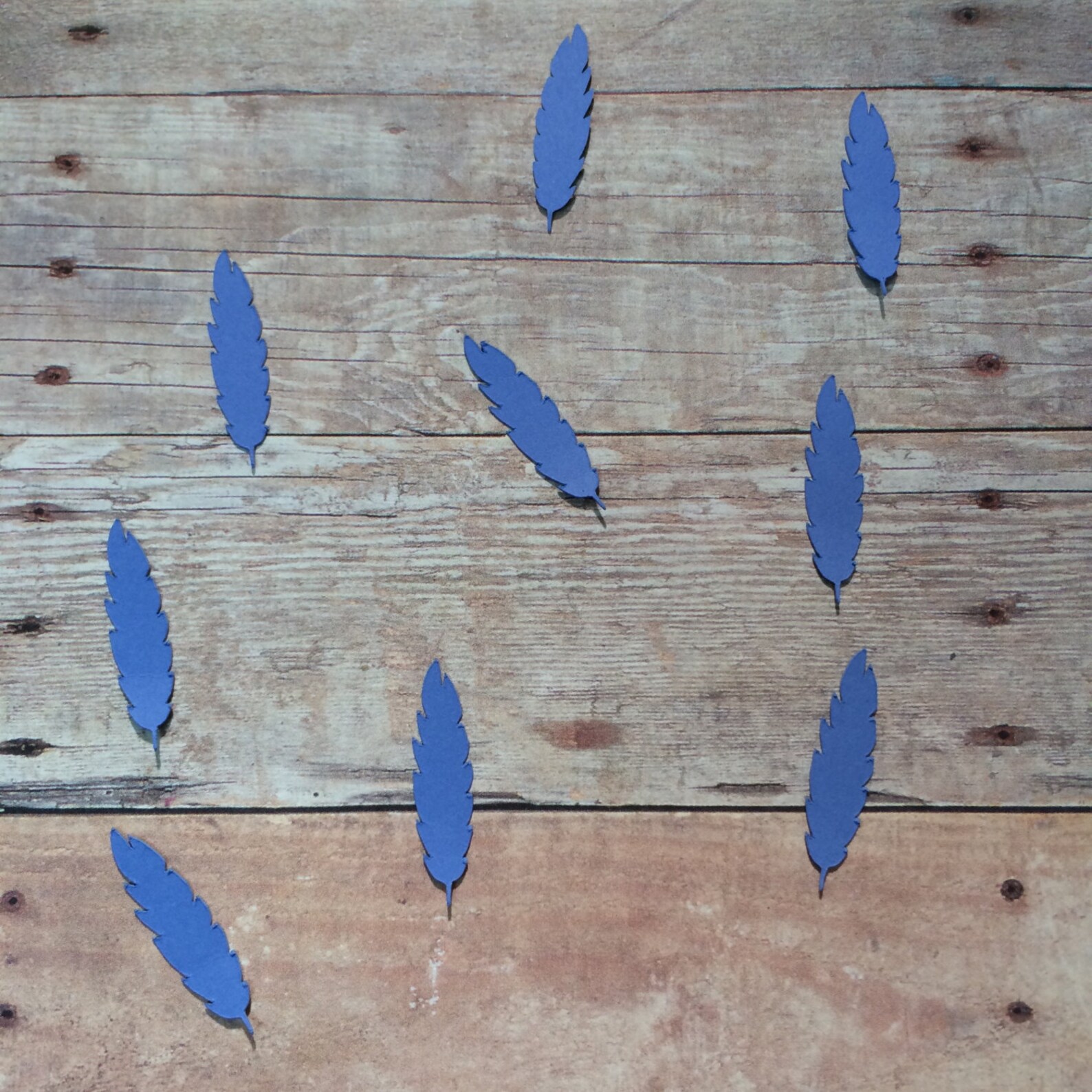 Feather Confetti Feather Cut Outs Feather Decoration - Etsy