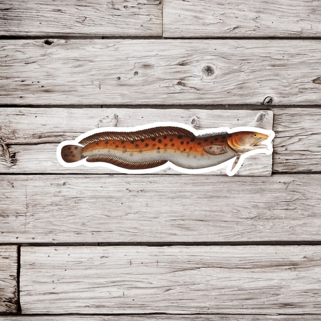 Eel Sticker, Ocean Sticker, Sea Creature Sticker, Fish Sticker ...