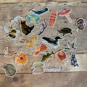 Mystery Mini Sticker Pack, Random Sticker Pack, Assorted Small Sticker ...