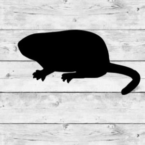 Muskrat Decal | Muskrat Sticker | Muskrat Decoration | Muskrat Car ...