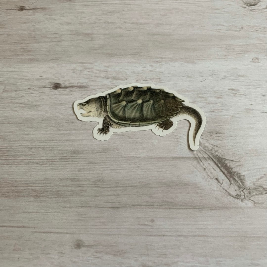 Snapping Turtle Sticker or Magnet Snapping Turtle Sticker - Etsy